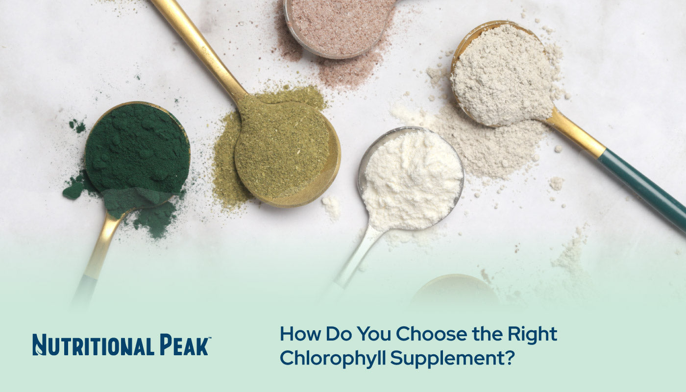 How Do You Choose the Right Chlorophyll Supplement? – NutritionalPeak